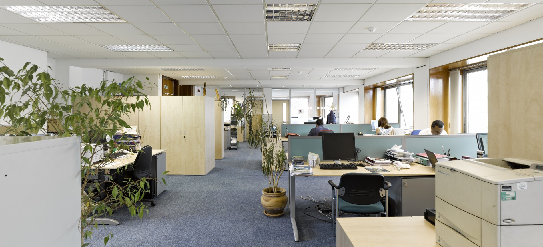 Malaria Consortium | Nicholas Sunderland Feng Shui Interiors